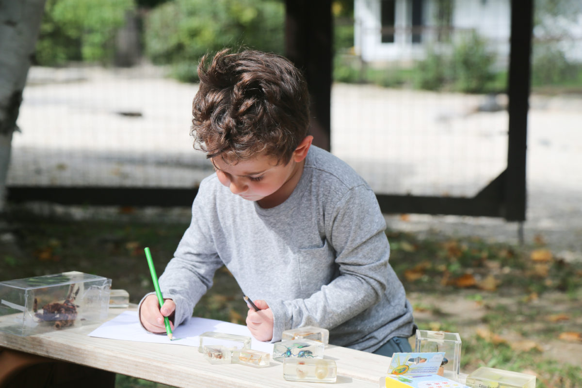 Helping Your Child Develop a Tenacious Mindset - The Children's School